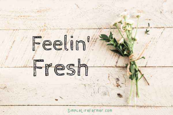 feelin' fresh!